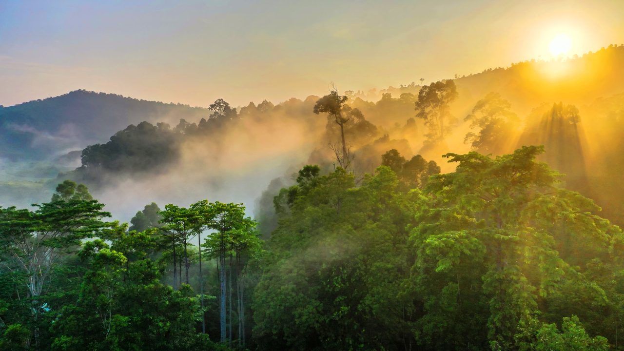 Sample Case Study - AirBridge Networks